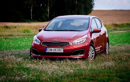¿Cuáles son los mejores modelos de Kia? - ComparaOnline