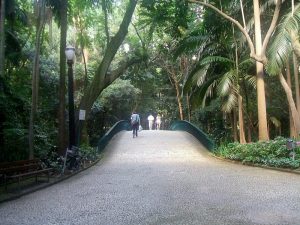 ¿Qué hacer en São Paulo? ¡Descubre Brasil! - ComparaOnline